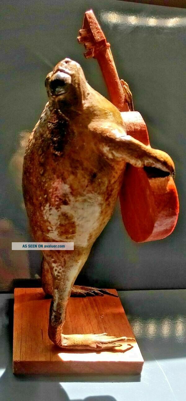Vintage Real Taxidermy Standing Bull Frog Playing Guitar | #1483018