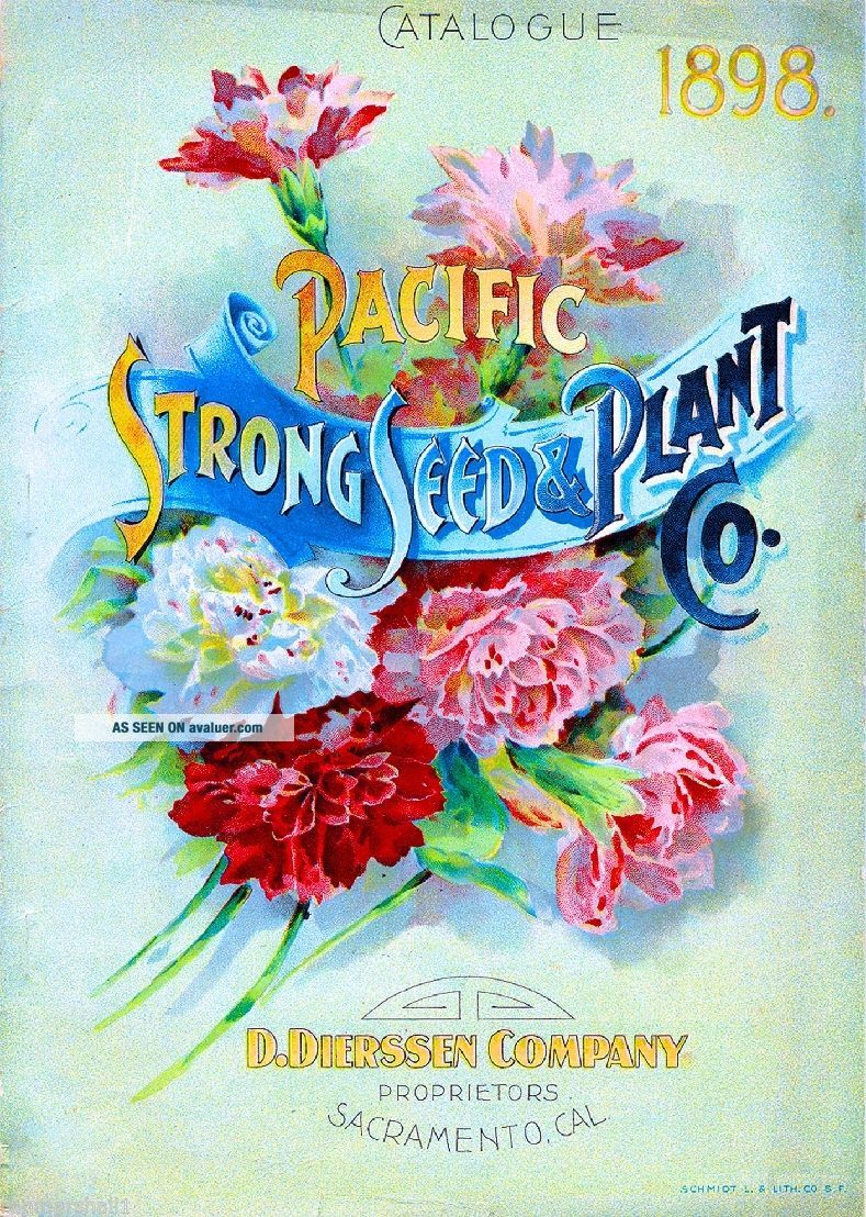 1898 - Pacific Carnations Vintage Flowers Seed Packet Advertisement ...