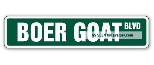 BOER GOAT Street Sign Goats Farm Farmer Signs Animal| Indoor/Outdoor ...