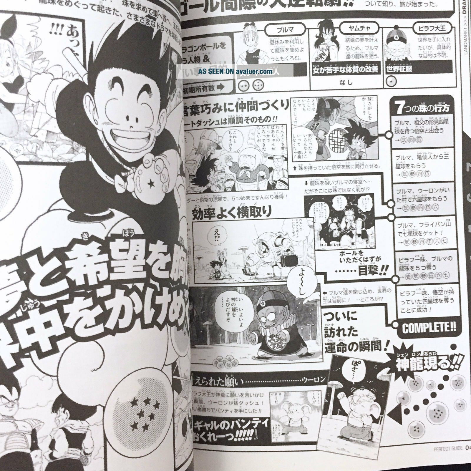 DRAGON BALL Official Guide Book Landmark | JAPAN Manga Anime Akira ...