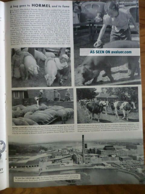 1939 Spam Hormel Ad A Hog Goes To HORMEL1939 Article Ad Bailey Family ...