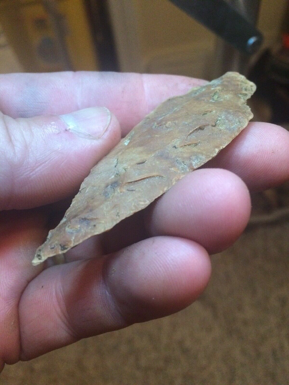 Arrowheads - Colorful 3 1/16” Adena Point Alabama Find | #15271249