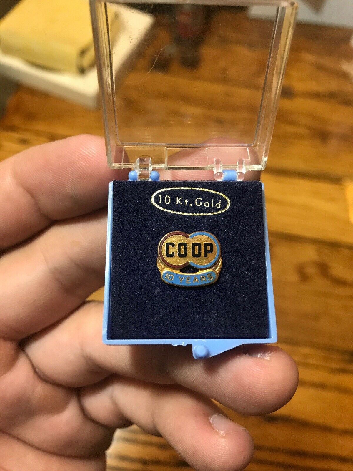 CO - OP Farm 10 Years Service Award Pin 10k Gold Texted Cooperative Box ...