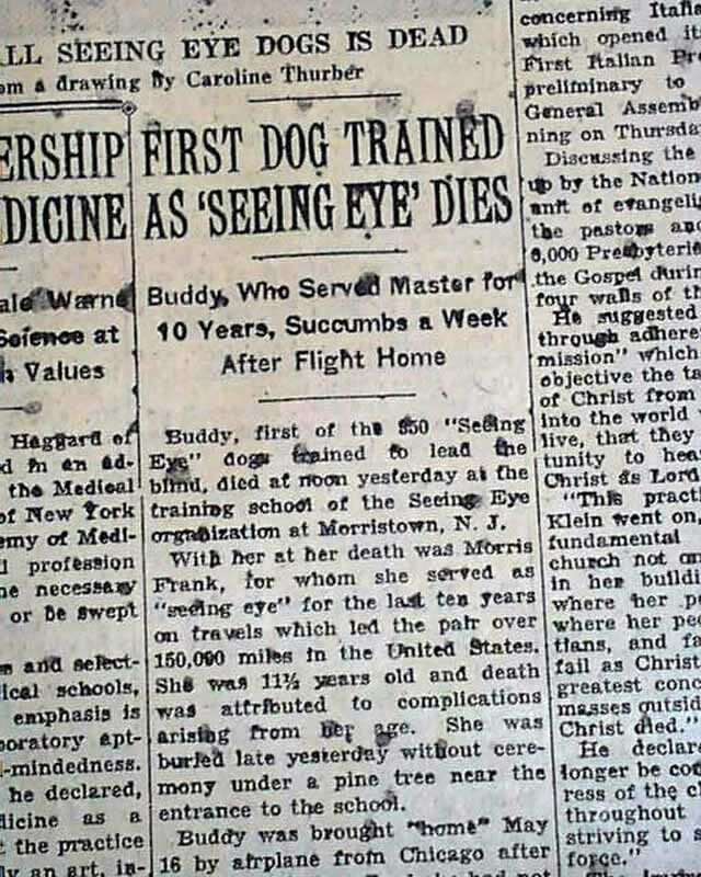 BUDDY 1st Seeing Eye Guide Dog Morris Frank Service Animal DEATH 1938 ...