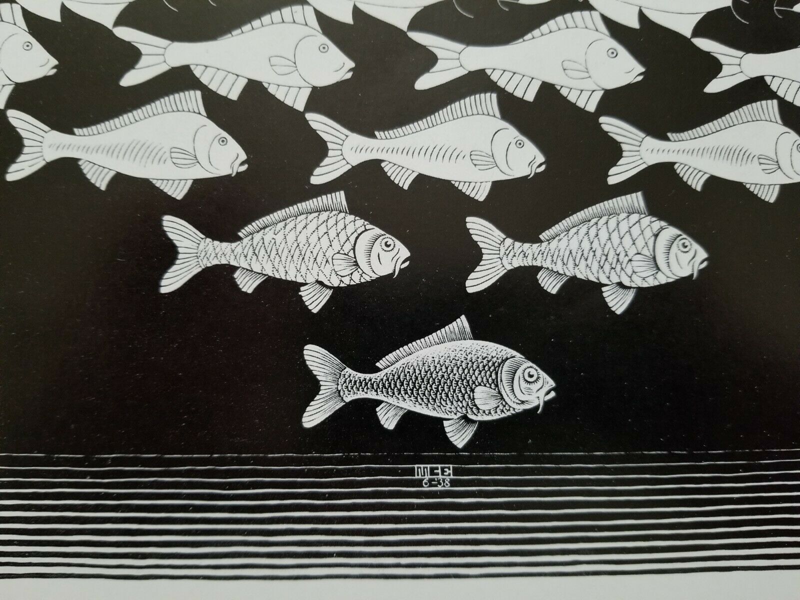 SKY AND WATER I Birds Morphing Into Fish Light & Dark Elements M C ...