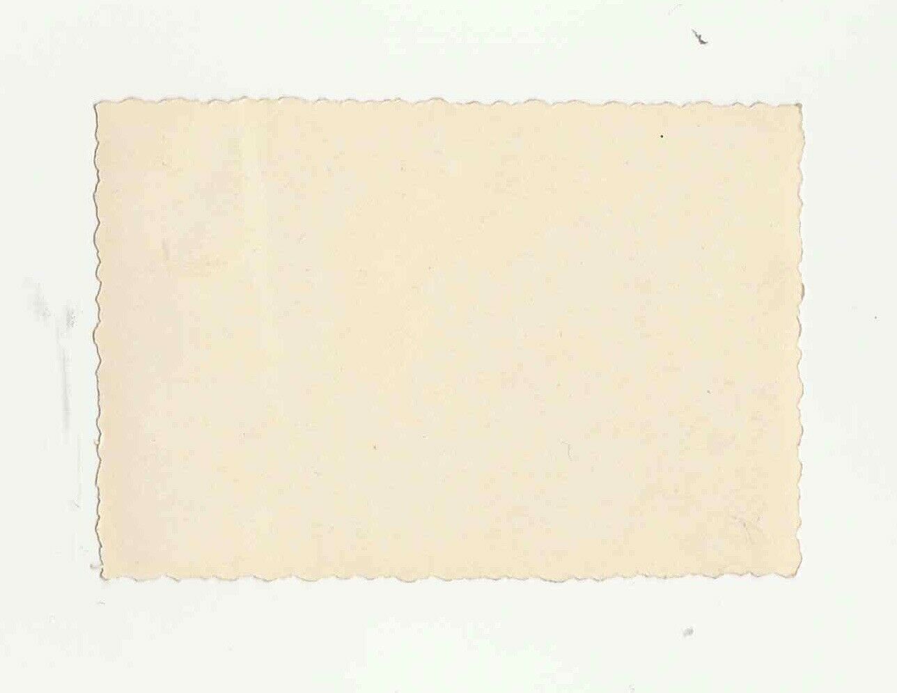 (1) German WW2 Photo Soldier Laying With Girl | #14542564