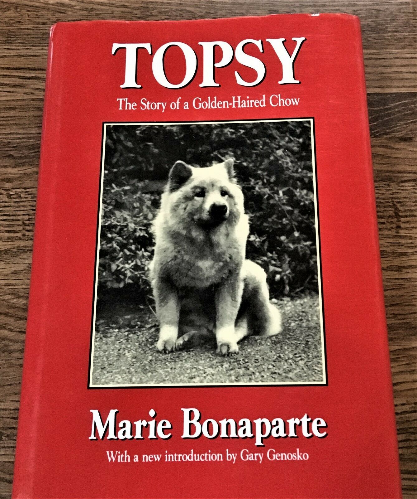 TOPSY, THE STORY OF A GOLDEN HAIRED CHOW MARIE BONAPARTE CHOW CHOW DOG ...