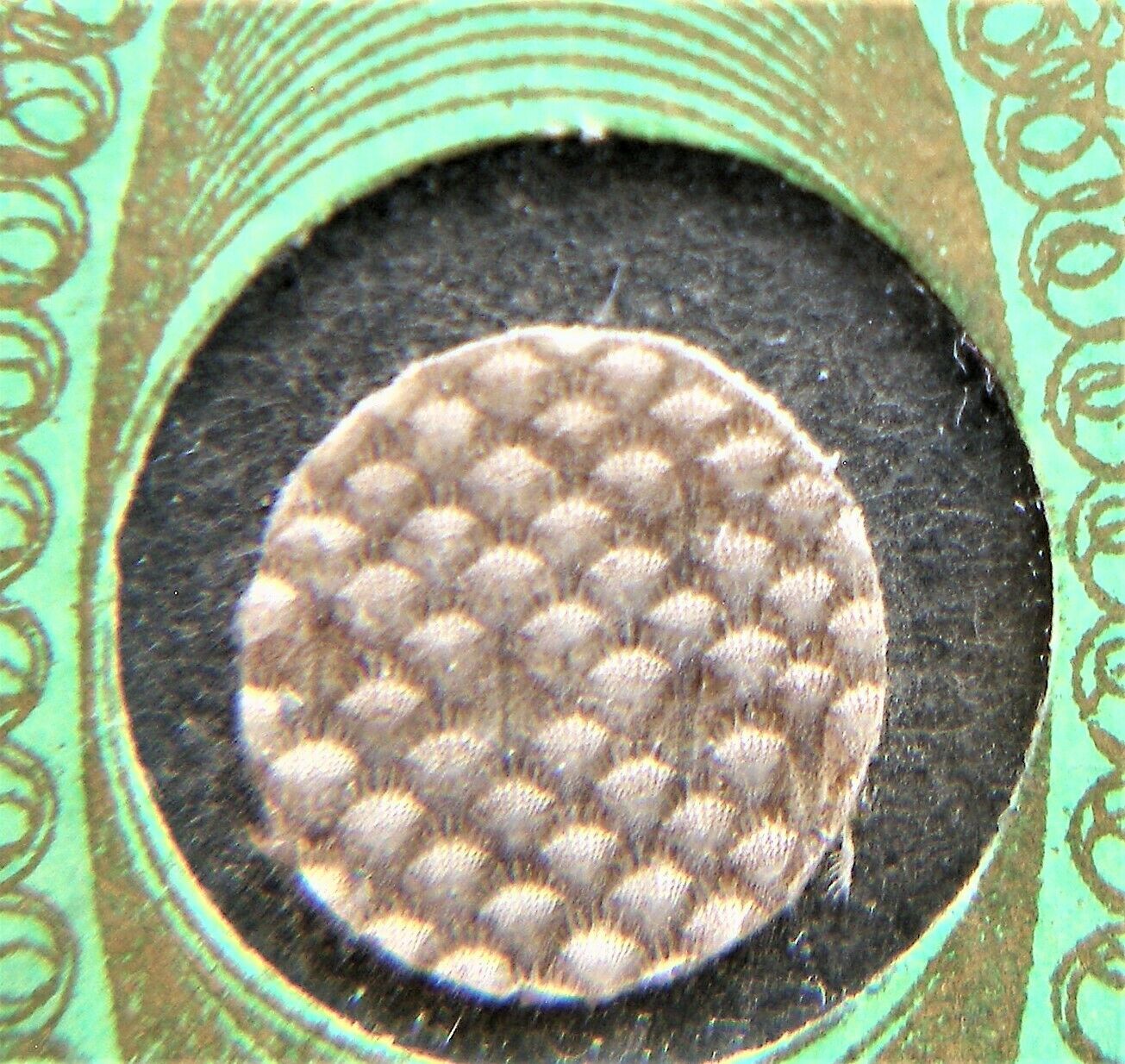 Antique Green Paper MICROSCOPE SLIDE Of The SKIN Of SOLE | #14135638