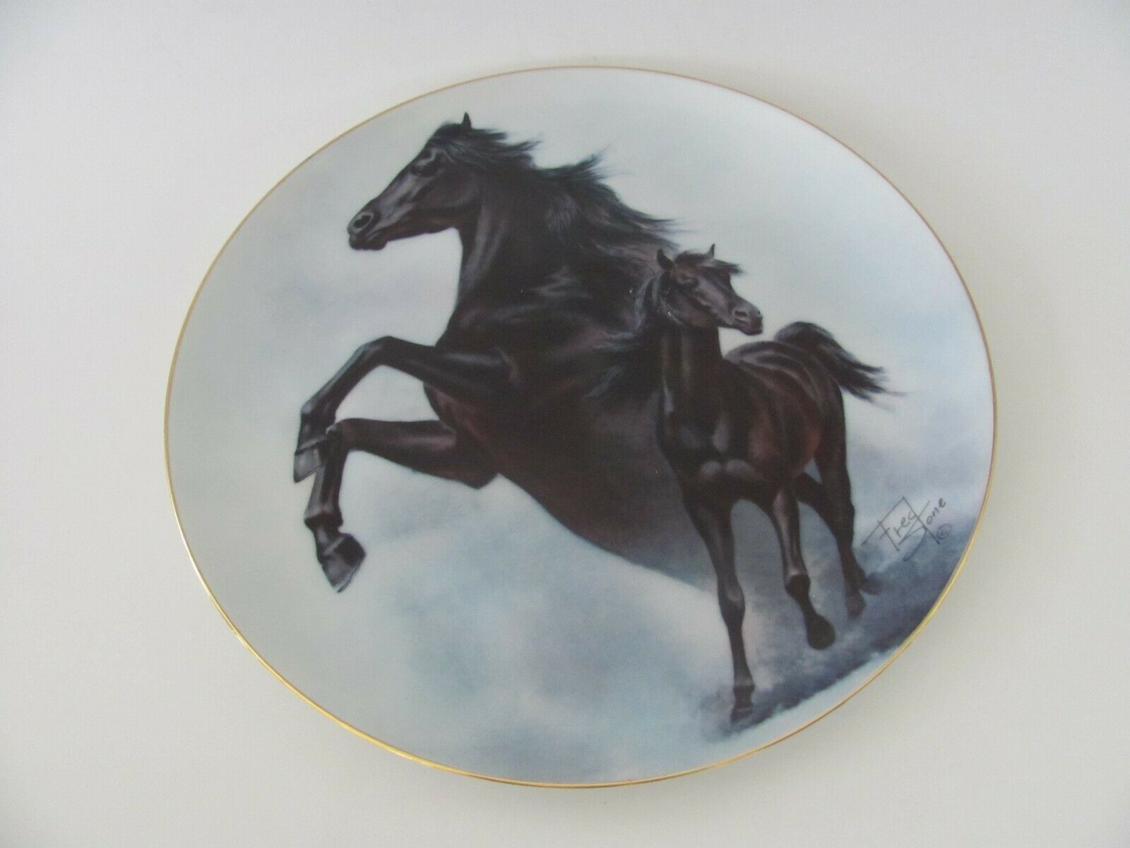 Limited Edition The Black Stallion Signed Fred Stone Plate With ...